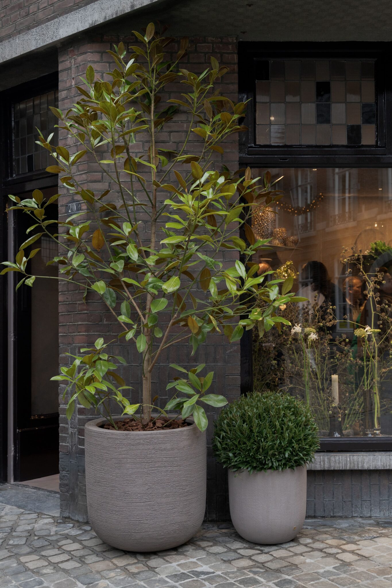 Grove - Atelier ROA - Atelier ROA