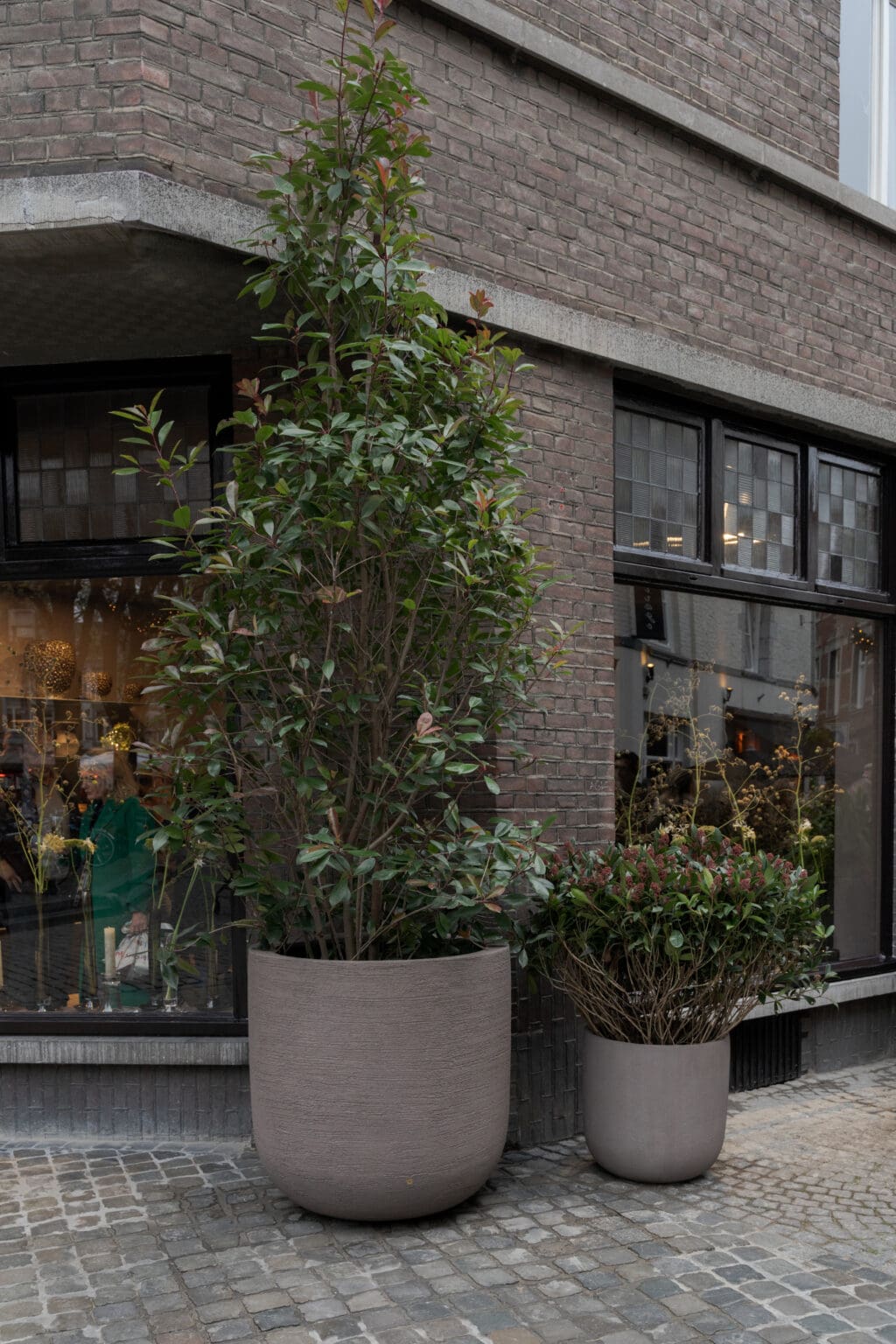 Grove - Atelier ROA - Atelier ROA