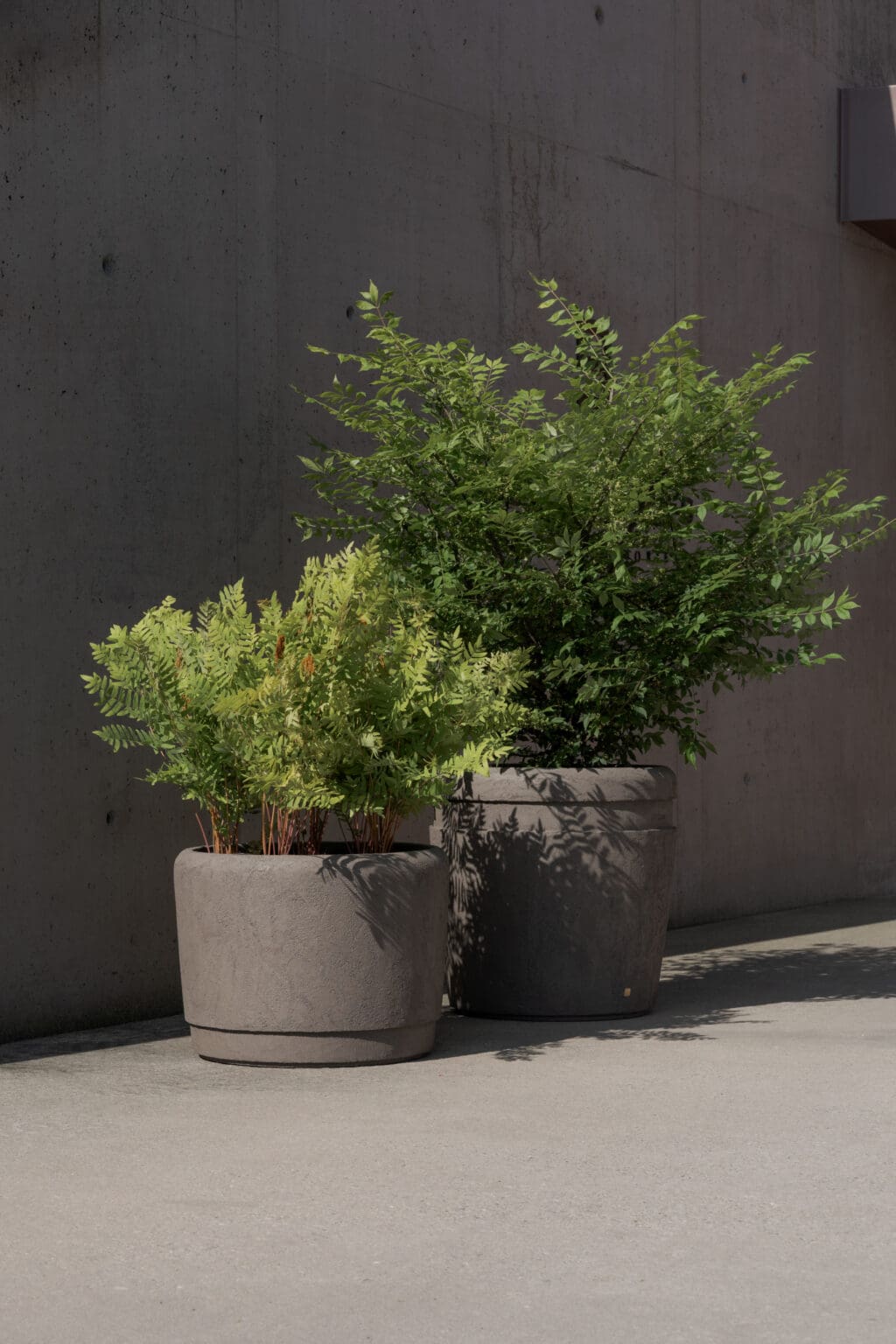 Loam - Atelier ROA - Atelier ROA